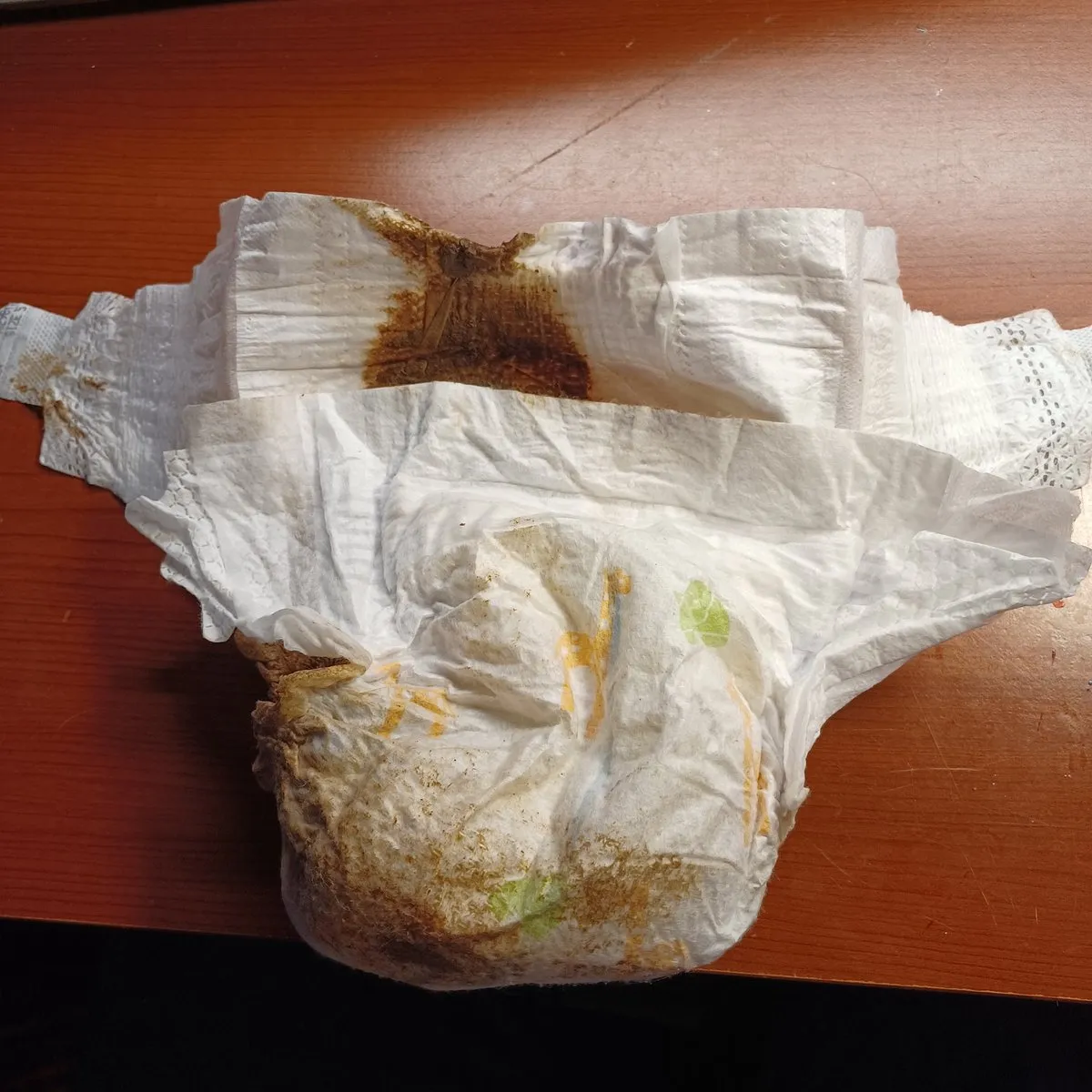 aa1b676a9f4d5b2b.webp - dump.li